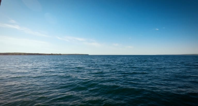 Bad River movie showtimes at an AMC Theatre near you.