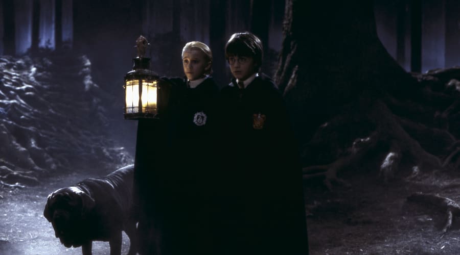 Harry Potter and the Sorcerer's Stone 20th Anniversary movie showtimes ...