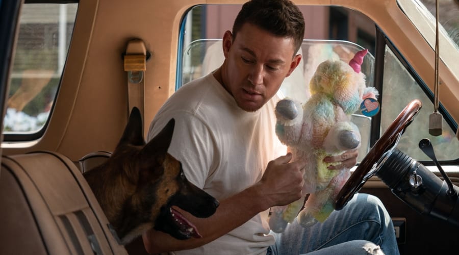 Dog movie showtimes at an AMC Theatre near you.