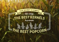 AMC Theatres In-Theatre Popcorn